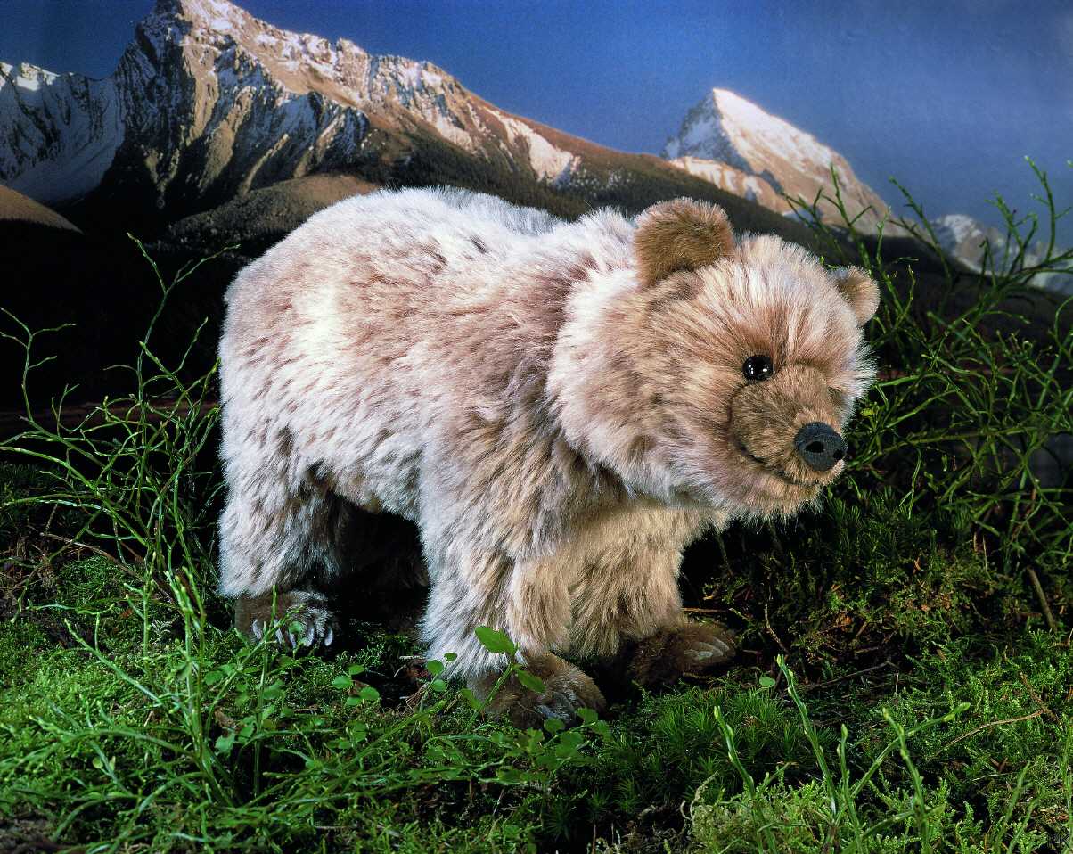 Willkommen im Stofftier-Kaufhaus