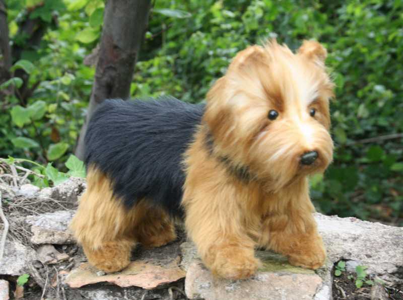 Willkommen im Stofftier-Kaufhaus